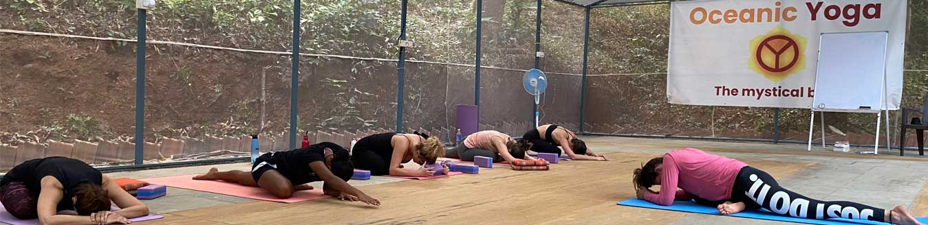 300 Hour Yoga Teacher Training Goa | Oceanic Yoga