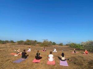 Yoga Teacher Training in India | Oceanic Yoga School