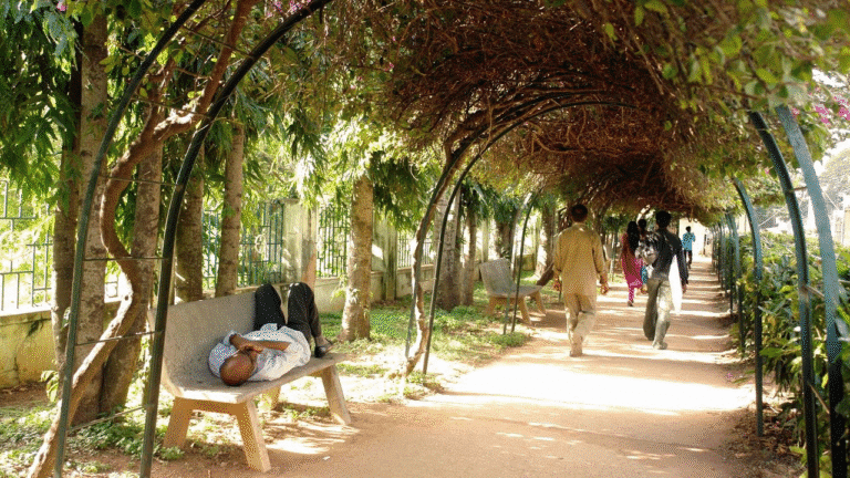 Susegad: Embracing the Goa Way of Life - Oceanic Yoga International