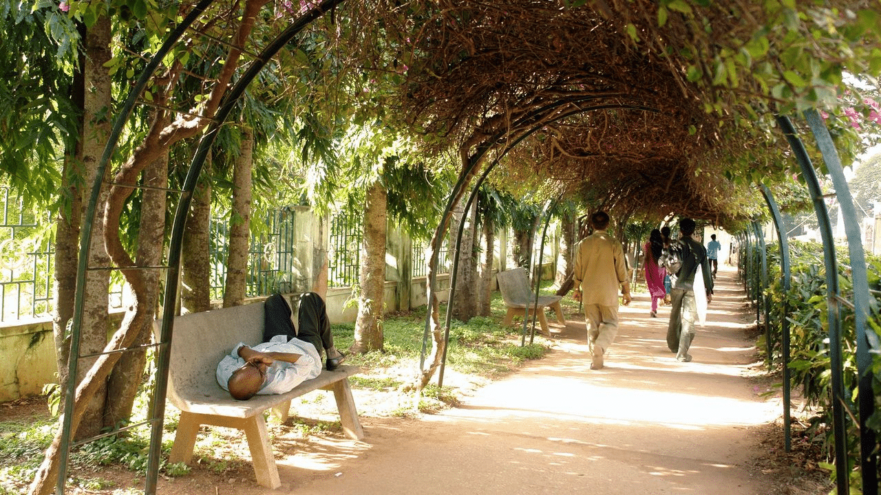 Susegad: Embracing the Goa Way of Life - Oceanic Yoga International